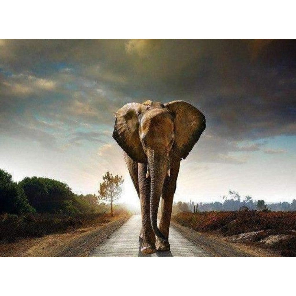 Elefant auf der Straße Diamond Bild