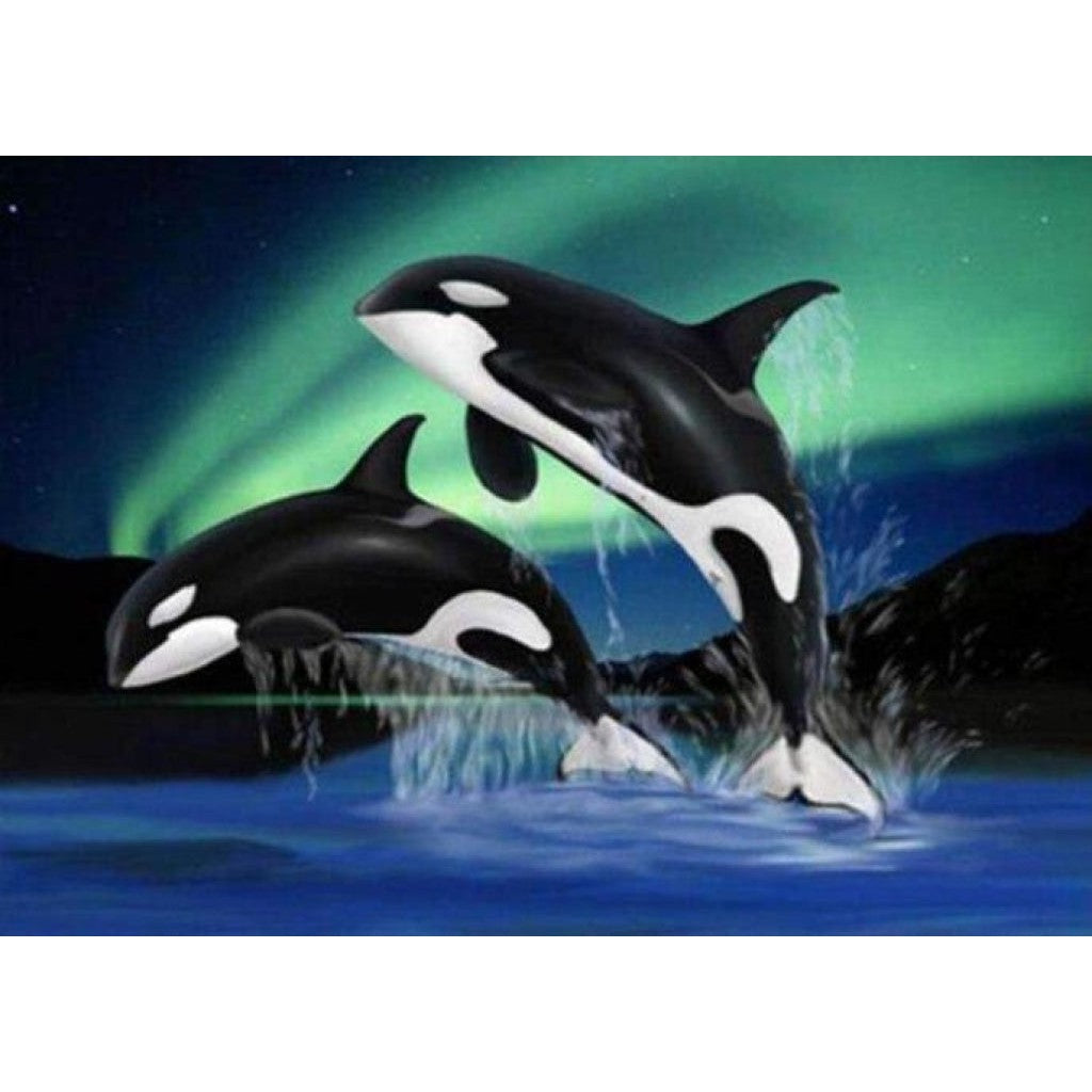 Orca bei Nordlicht Diamond Bild