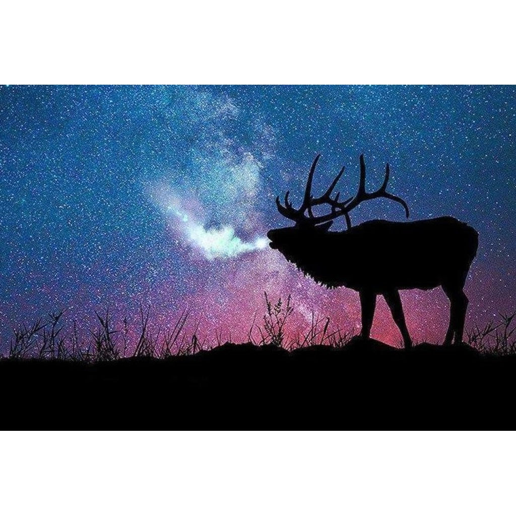 Rentier Hirsch Universum Diamond Bild